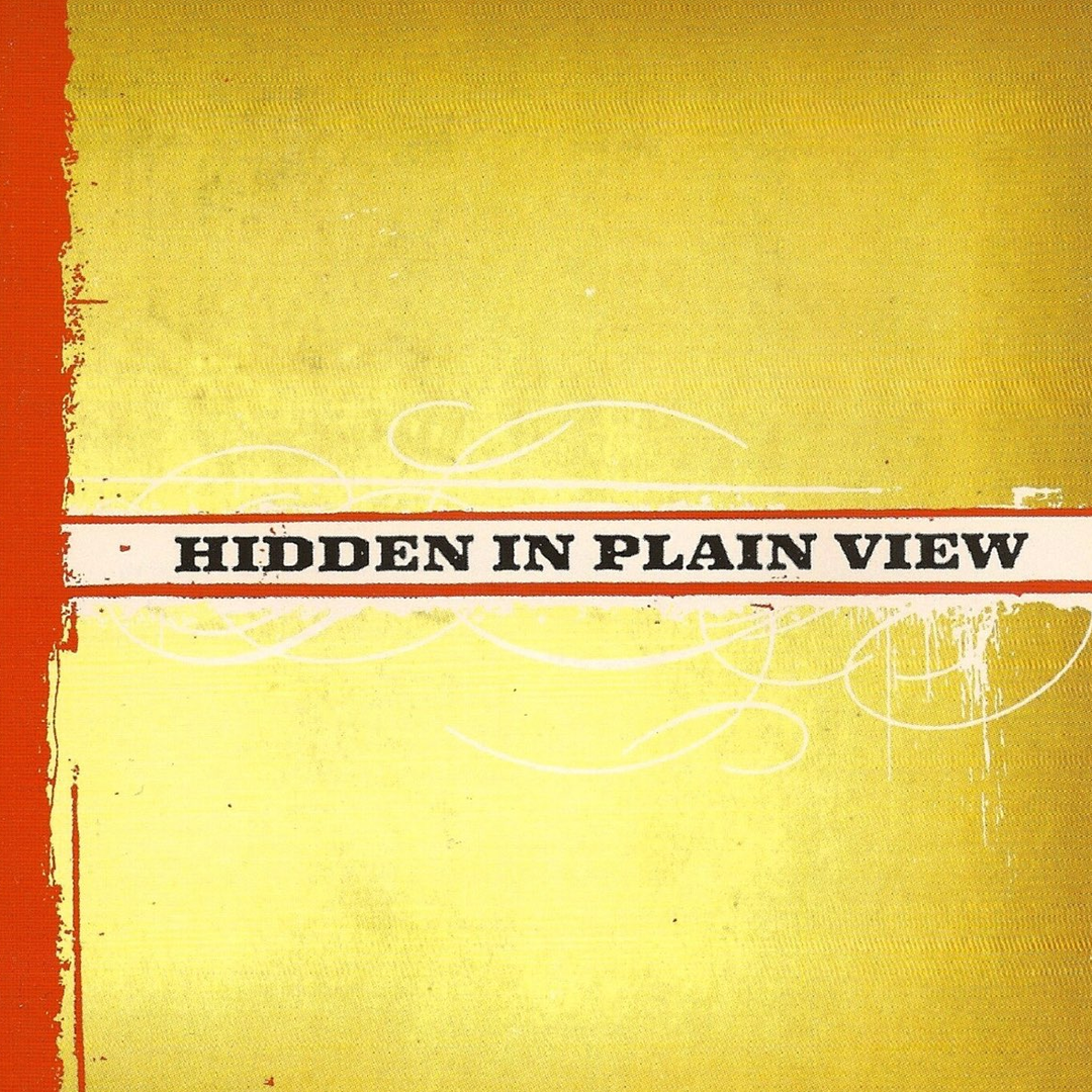 Hidden In Plain View - Hidden In Plain View – SMARTPUNK
